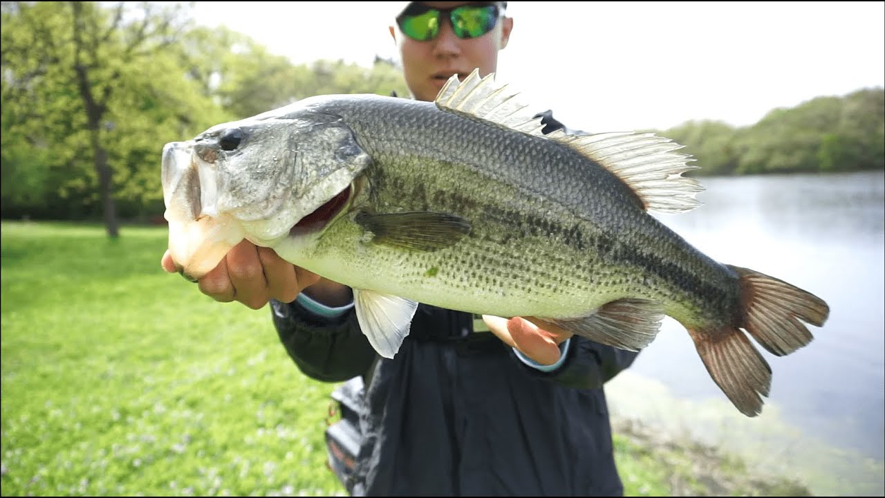 Slab Crappie and Spring Bass Fishing - YouTube