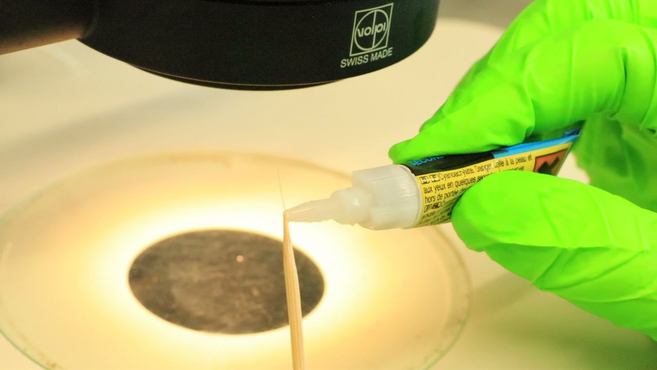 How to make a nematode picking needle - YouTube