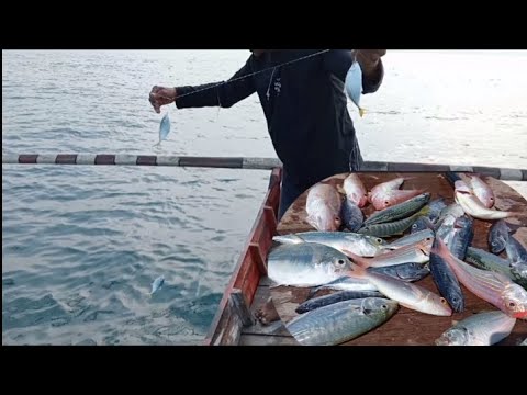 🔴 SUASANA NELAYAN pancing mania ikan nya campur2 kakap merah geyss 🐟 ...