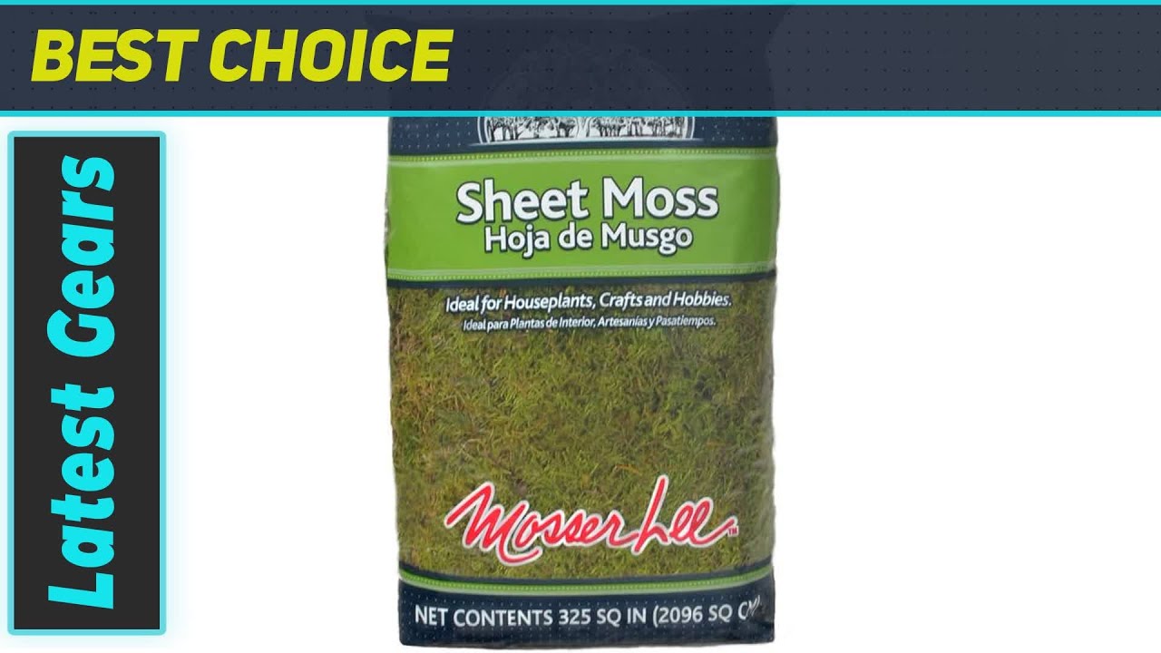 Mosser Lee ML0460 Sheet Moss: Perfect for Plants & Crafts? - YouTube