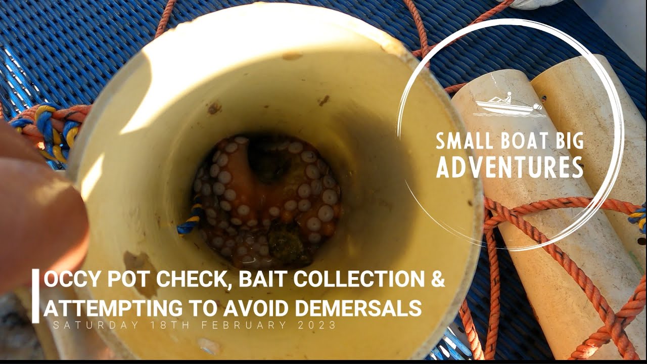 Checking Occy pots and trying to avoid catching Demersal's - YouTube