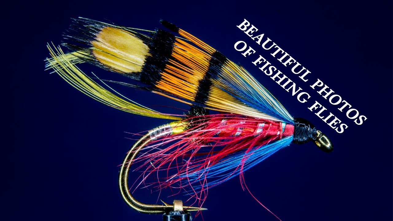 Flies Photo Gadget - How to get easy beautiful photo Flies? - YouTube