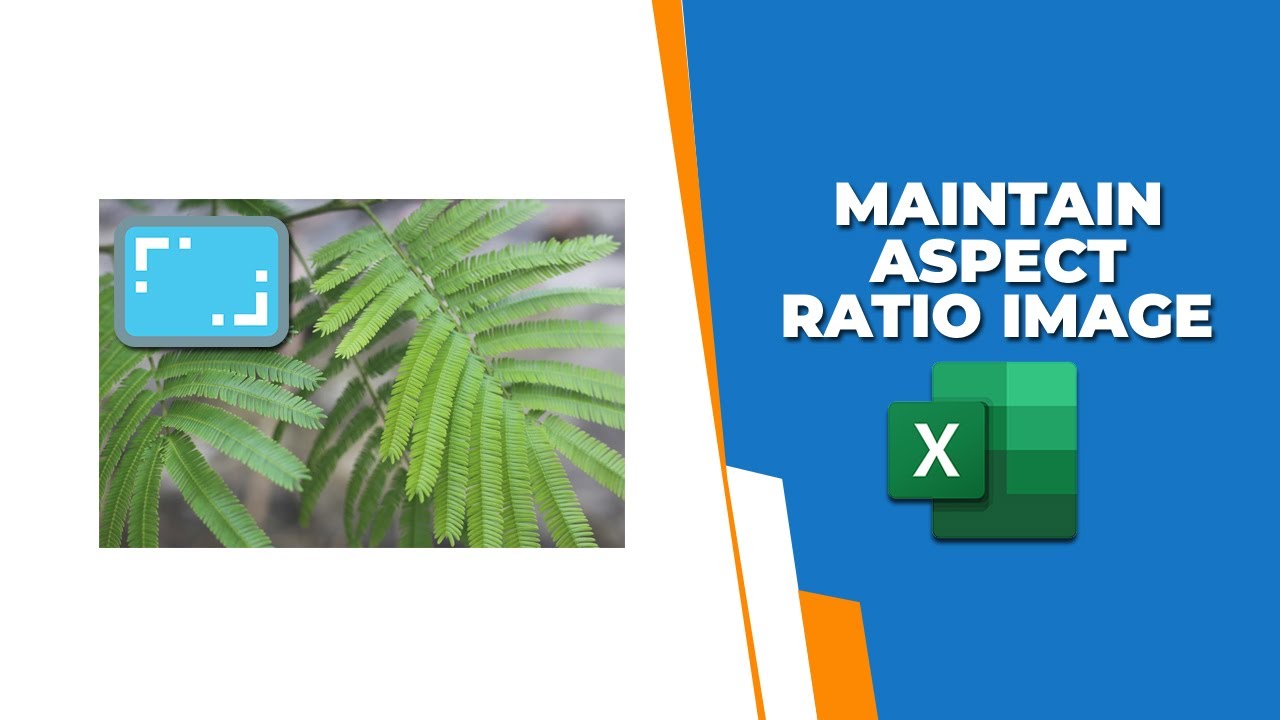 How to maintain aspect ratio of image in Excel - YouTube