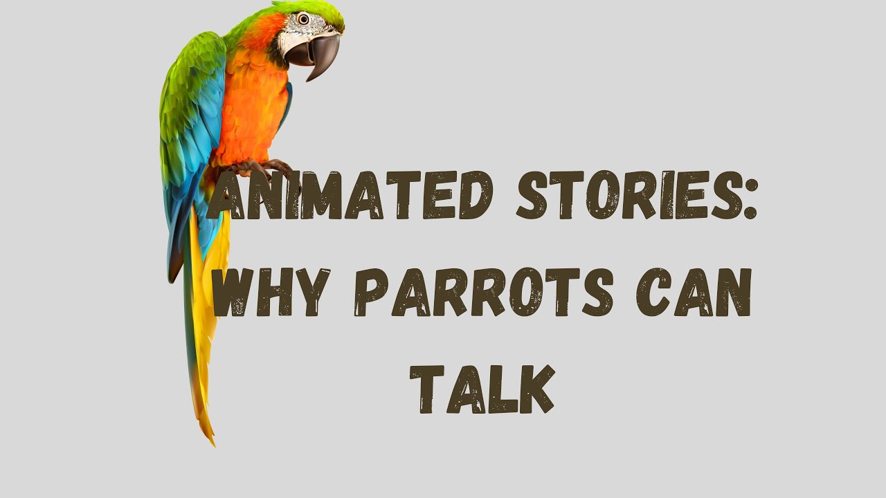 Why Parrots Can Talk, Animated CBC Children Story, Bedtime Stories ...