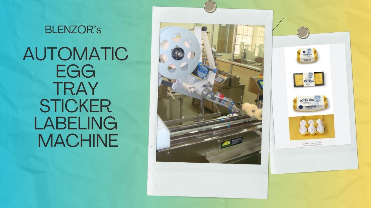 Automatic Egg Tray Labeling Machine - YouTube