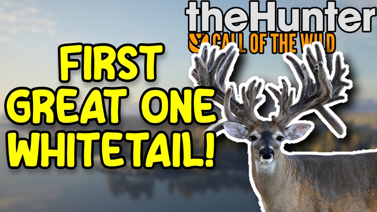 Hunting My FIRST GREAT ONE WHITETAIL! - TheHunter: Call of the Wild ...
