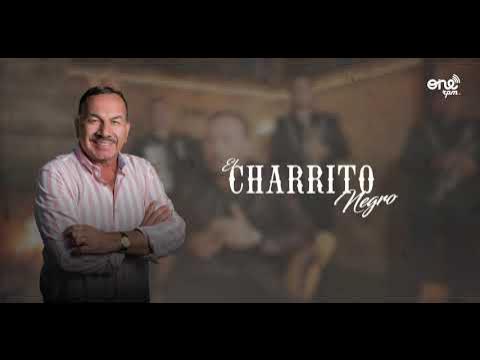 El Charrito Negro - Loco Por Tu Amor (Lyric Video) - YouTube