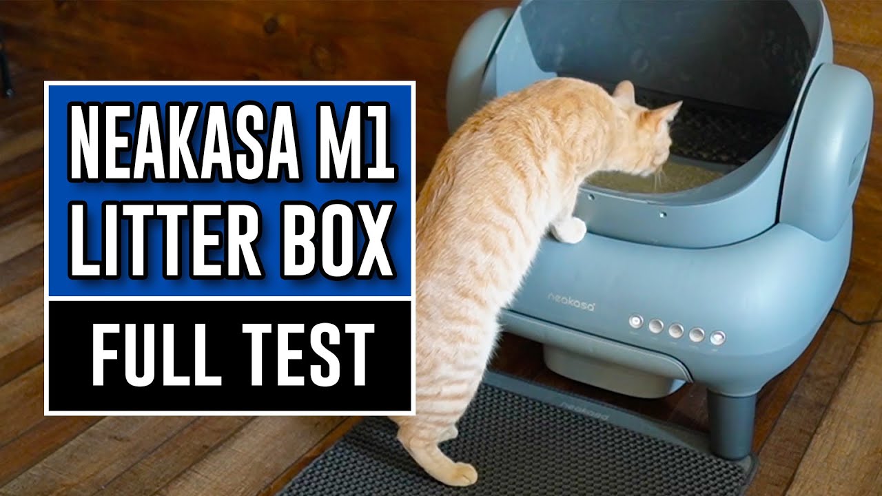 Neakasa M1 Automatic Litter Box Setup and App Control - YouTube