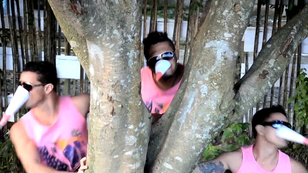 Dança do Pombo ( Passinho do Pombo ) Oficial. - YouTube