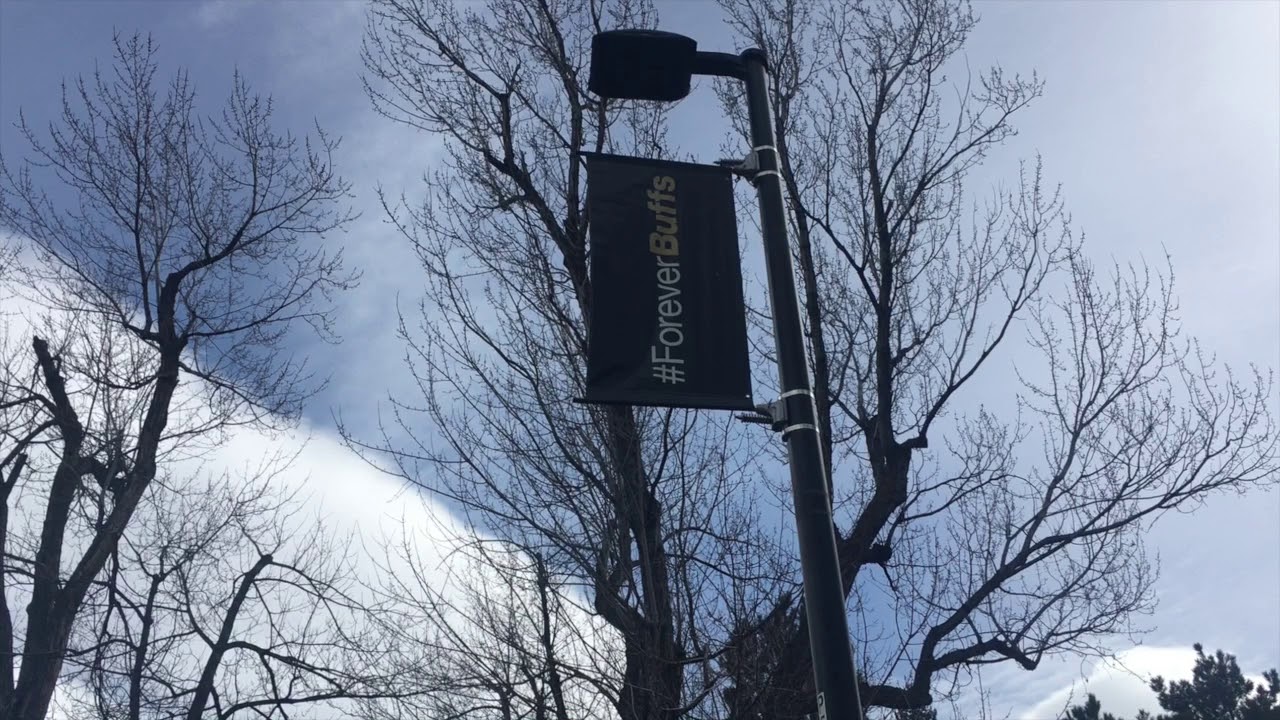 Five shot silent portrait-- Haley Farella - YouTube