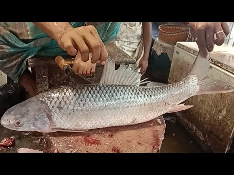 Amazing Mrigal Fish Cutting Skills Live In Fish Market - YouTube