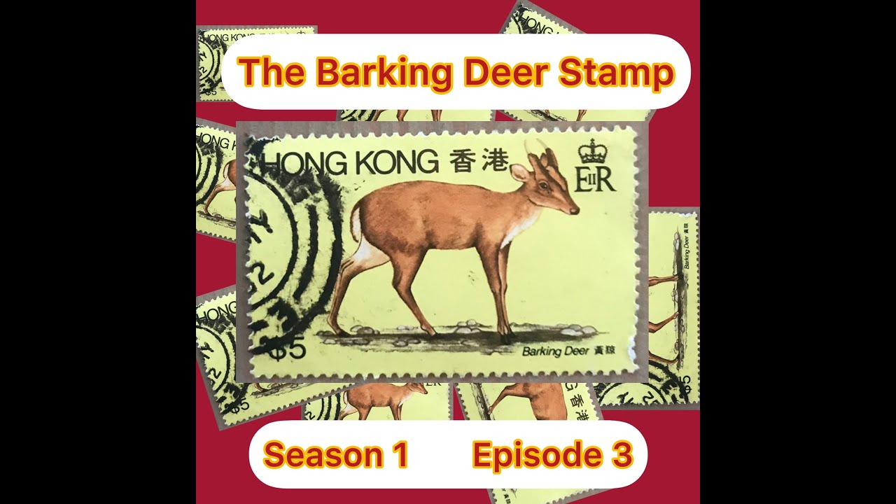 The Barking Deer Stamp - A Stamp From Hong Kong - YouTube