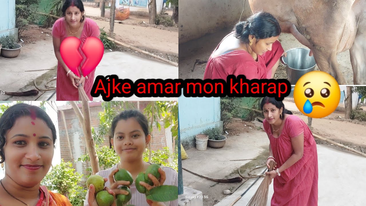Ajke amar mon khub kharap 😢😥@kalyanivlogs5548 #cow milkig #Cleaning # ...