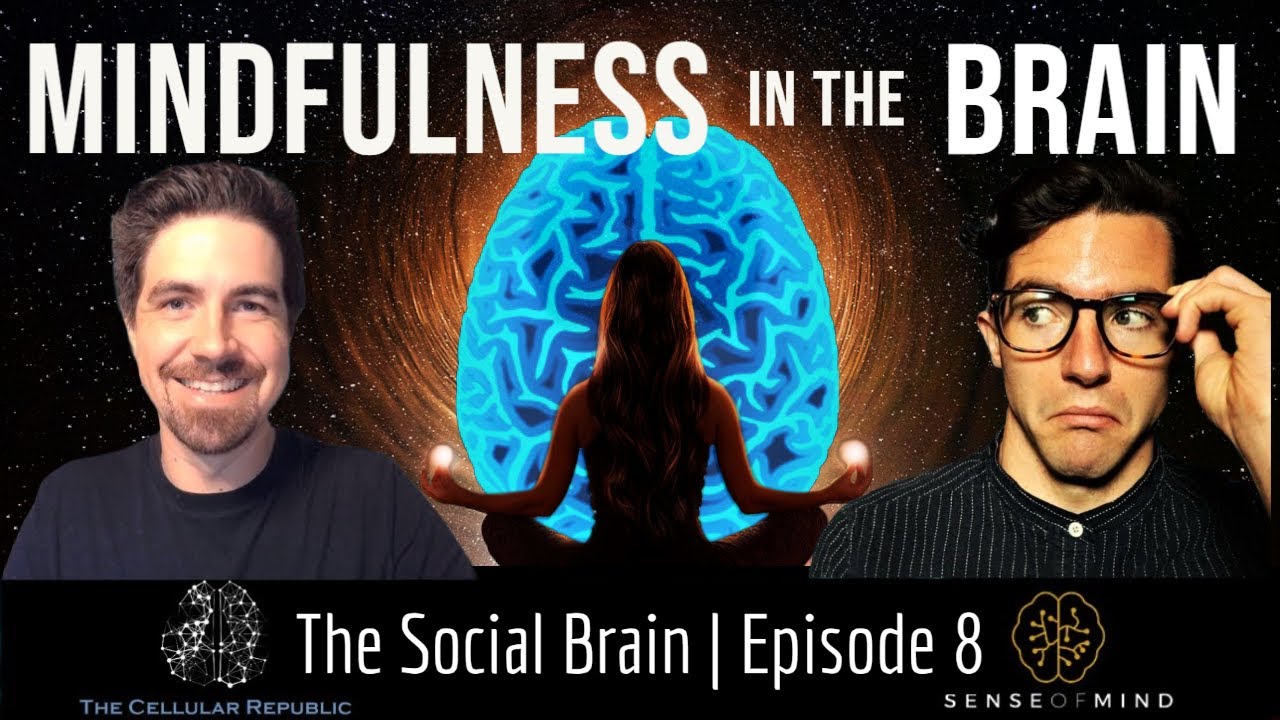 The Social Brain Ep. 8: The Neuroscience of Mindfulness: How Meditation Can Improve Your Brain ...