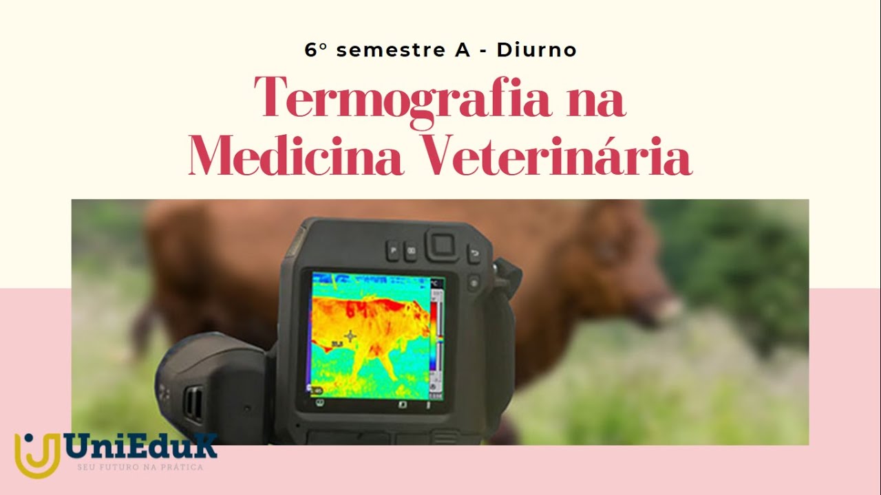 TERMOGRAFIA NA MEDICINA VETERINÁRIA - YouTube