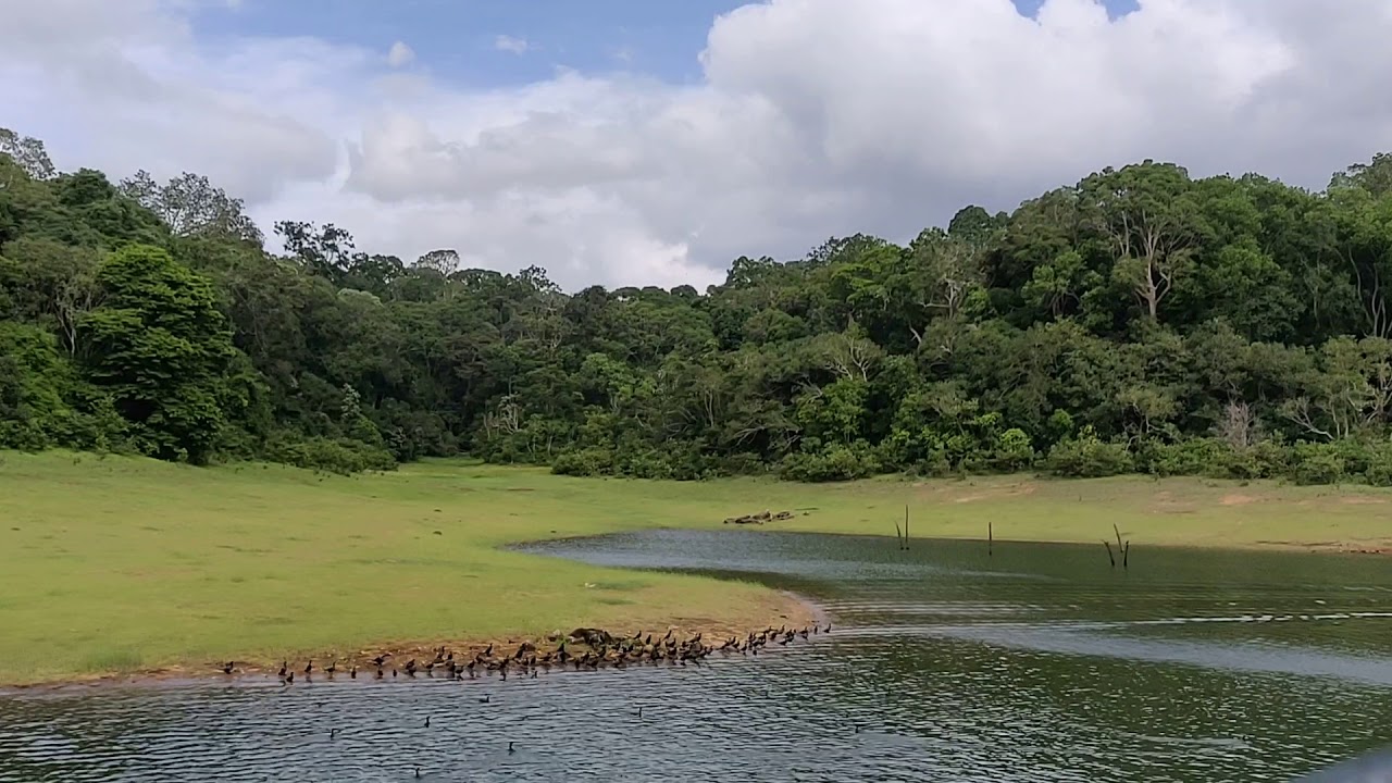 Thekkady boat ride - YouTube