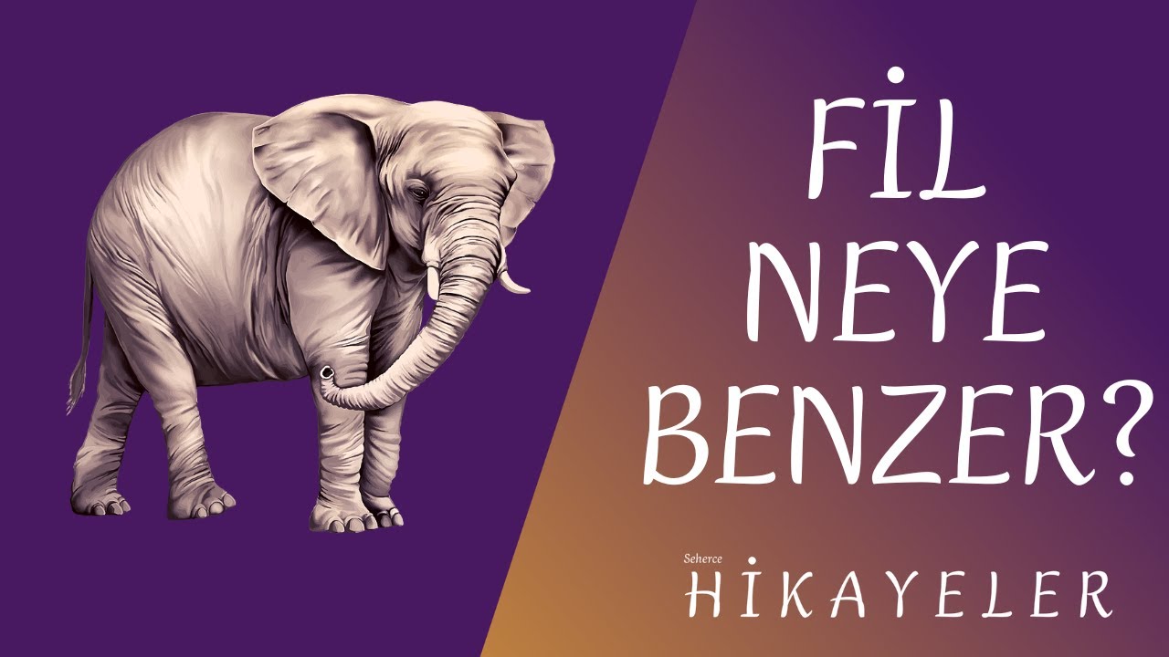 FİL NEYE BENZER? | Hikayeler - YouTube