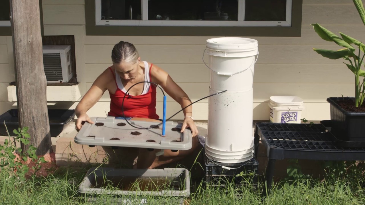 Homesteading and Gardening Basics: Food Rising Mini Farm - YouTube