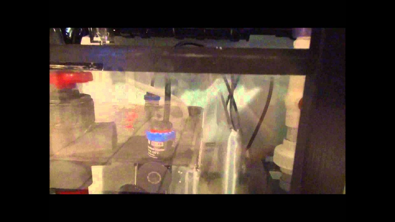 Plumbing for a reef tank with sump and refugium - YouTube