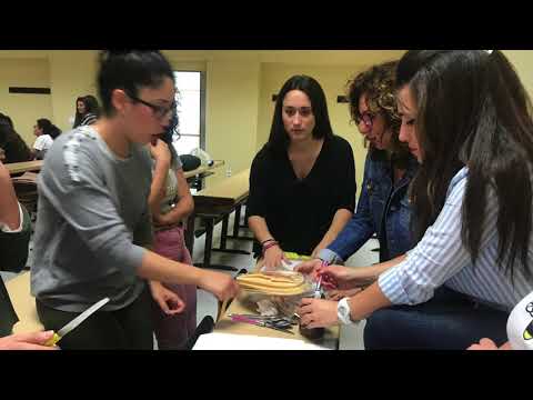 CEREI - ACTIVIDADES REALIZADAS EN CLASE - MARIE PAPE-CARPENTIER - SISTEMA AMARA BERRI