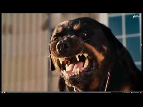 Garfield 2 HEY GARI KILIKLI