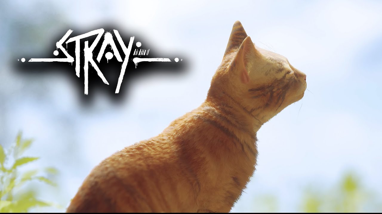 STRAY FULL ENDING + FINAL AREA - Stray Opens the Walled City PS5 4K ...