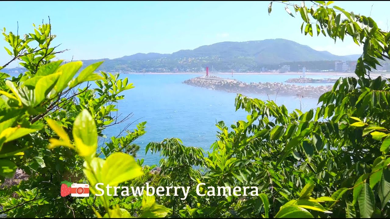 𝐏𝐥𝐚𝐲𝐥𝐢𝐬𝐭 작업에 집중할 수 있는 편안한 감성팝 🧡 🍓Strawberry Camera - YouTube