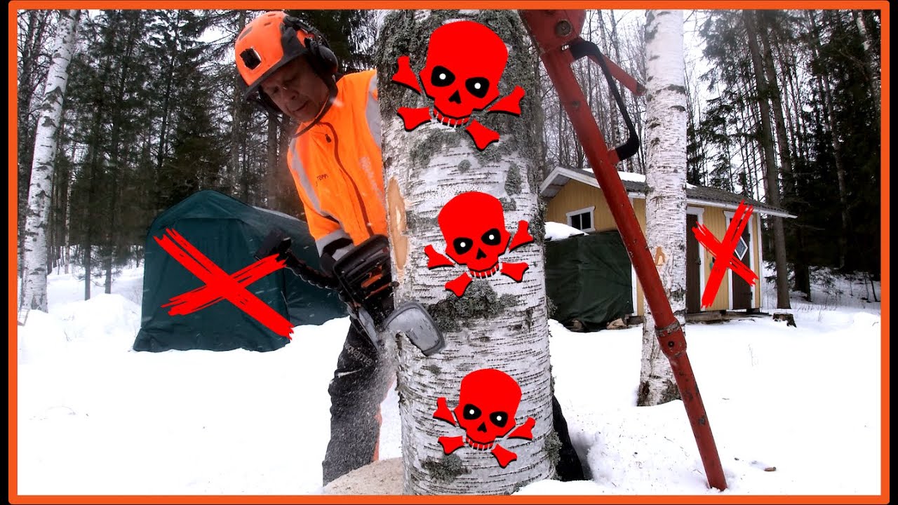 Horror Tree: One Mistake and Buildings Are Smashed - YouTube