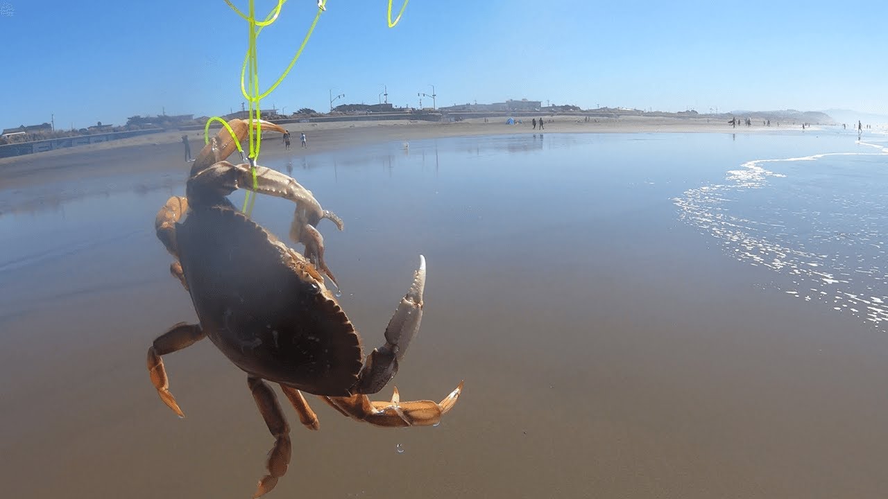 Fishing & Crabbing with CUSTOM SNARES @ Aquatic Park & Ocean Beach ...