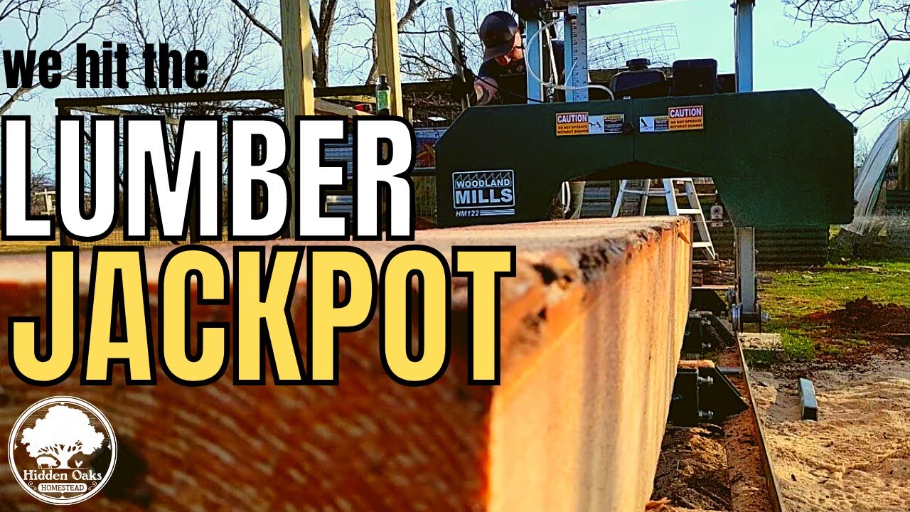 HOW TO turn your trees into VALUABLE LUMBER | Woodland Mills HM122 ...