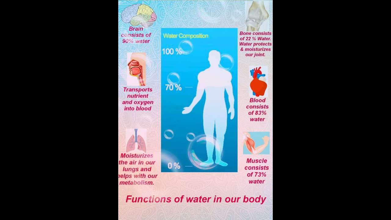 Water / Importance of water in human body. - YouTube