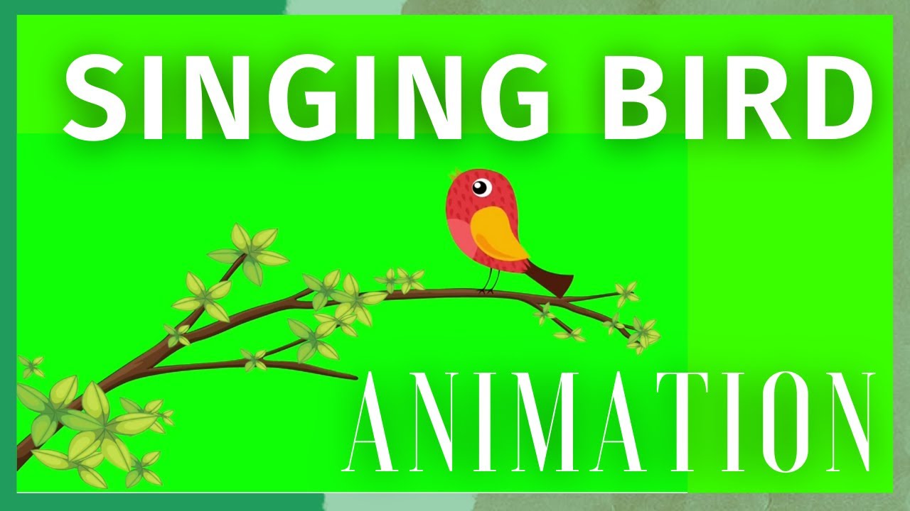 Singing Bird Animation Chroma Key Overlay | Green Screen Nature ...