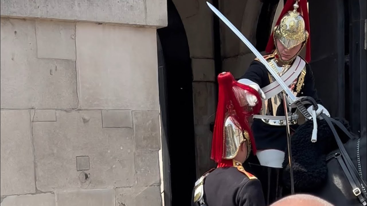 Guard’s Heartwarming Moment, Restoring Fellow Guard’s Plume ⭐️ - YouTube