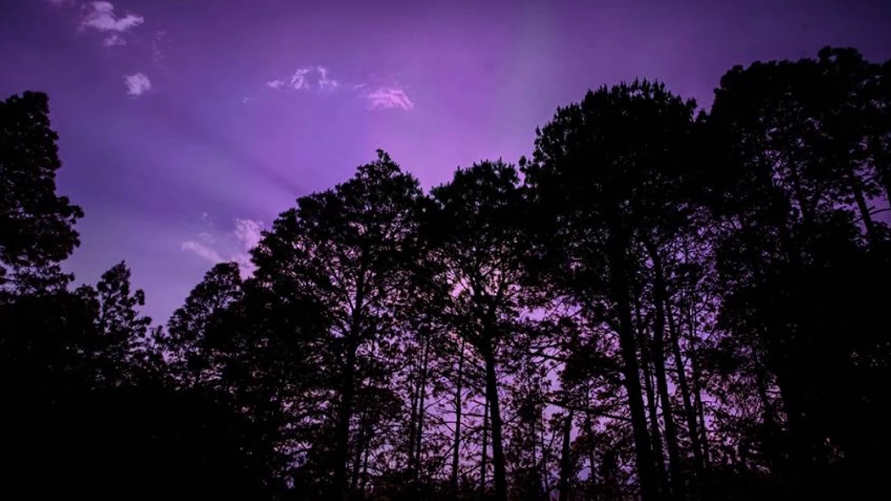 The Moon Lay Hidden Beneath a Cloud - YouTube