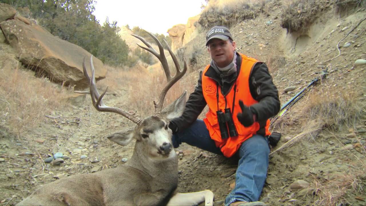 "Montana Mule Deer" S2 EP 12 - YouTube