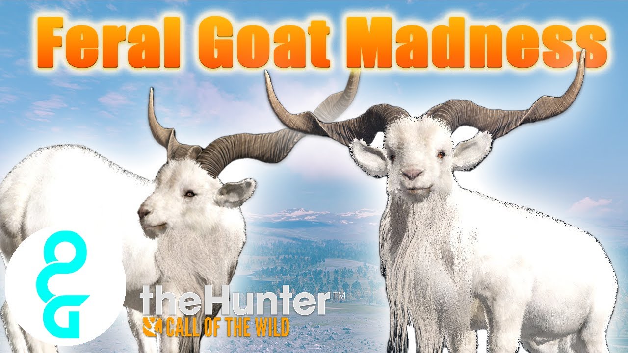 Feral Goat Hunt With a MASSIVE Twist! | Call of the Wild - YouTube
