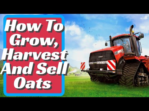 Farming Simulator 22 | Oats Complete Guide | How To Grow, Harvest And ...