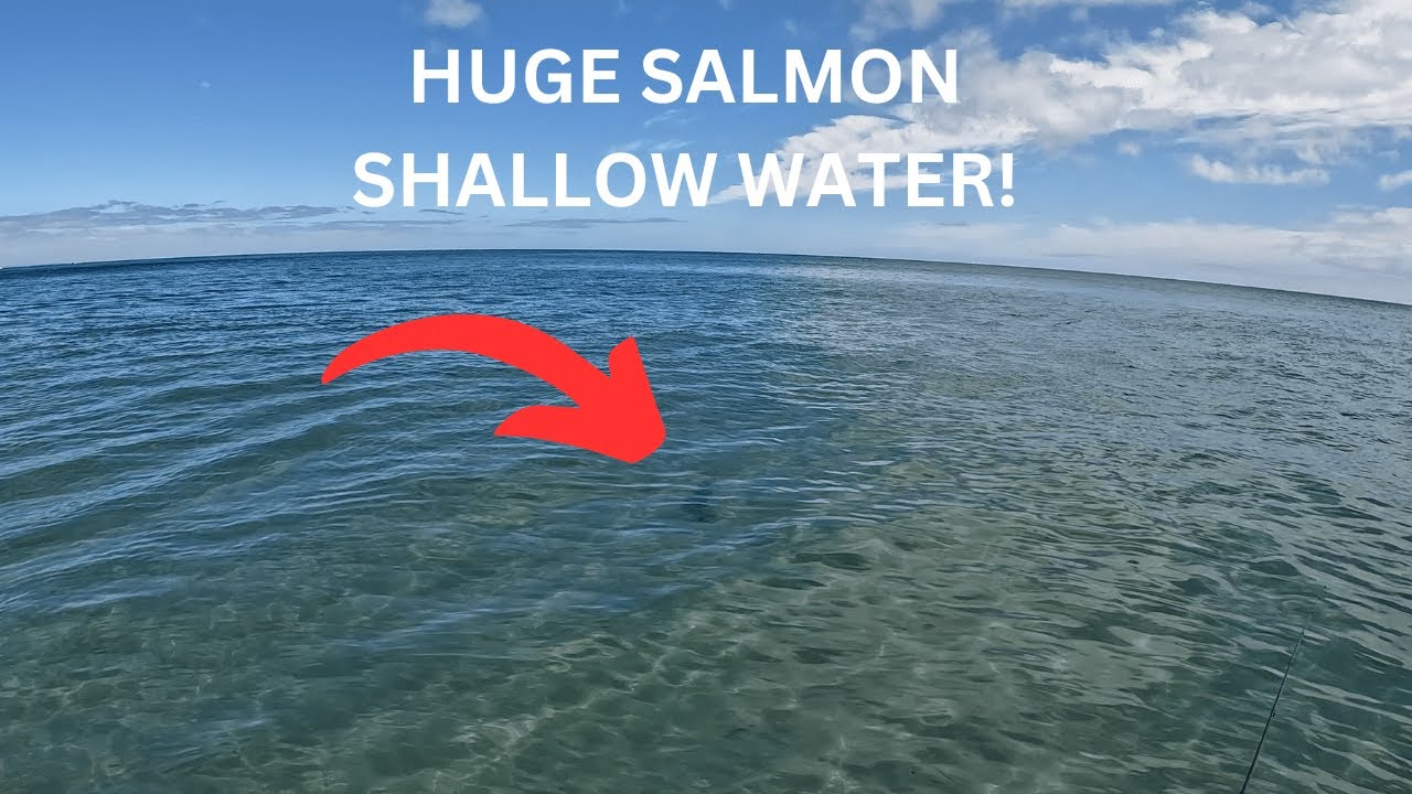 HUGE Salmon Caught in Ultra Shallow Tropical Water. (Surf Fishing ...