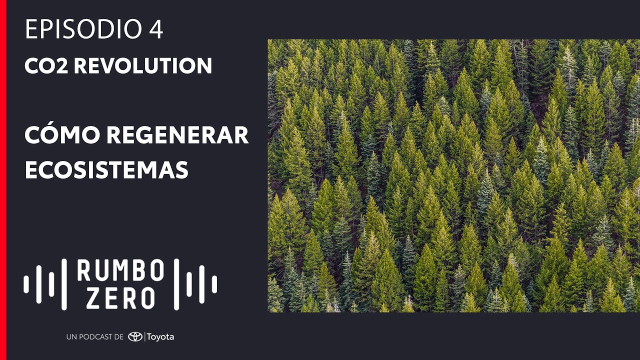 RumboZero #4 | CO2 REVOLUTION ¿Cómo regenerar ecosistemas? - YouTube
