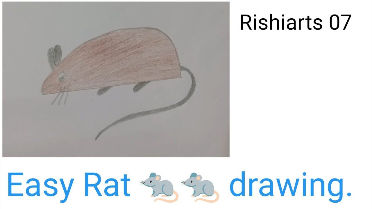 Easy Rat 🐀 drawing. - YouTube