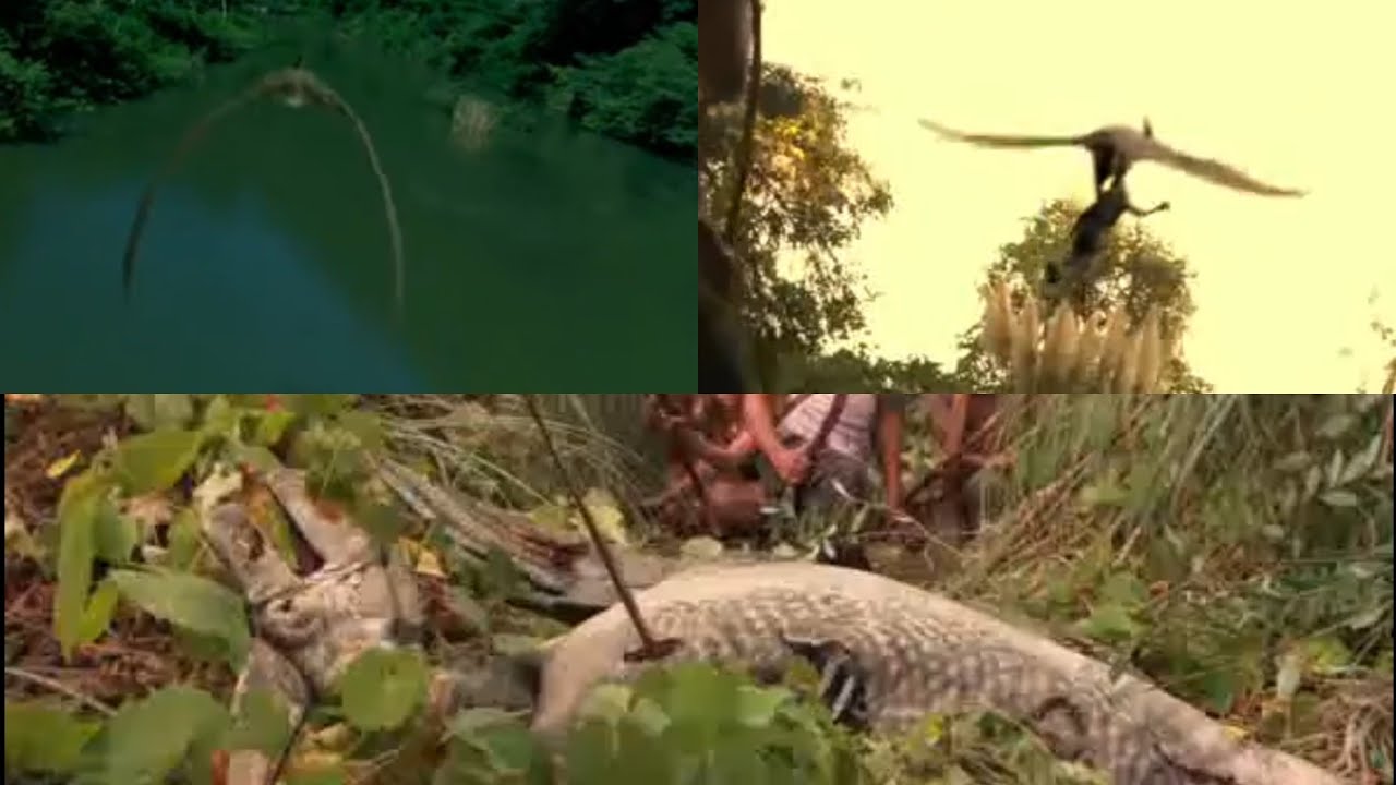 100 Million BC [2008] - Pteranodon Screen Time - YouTube