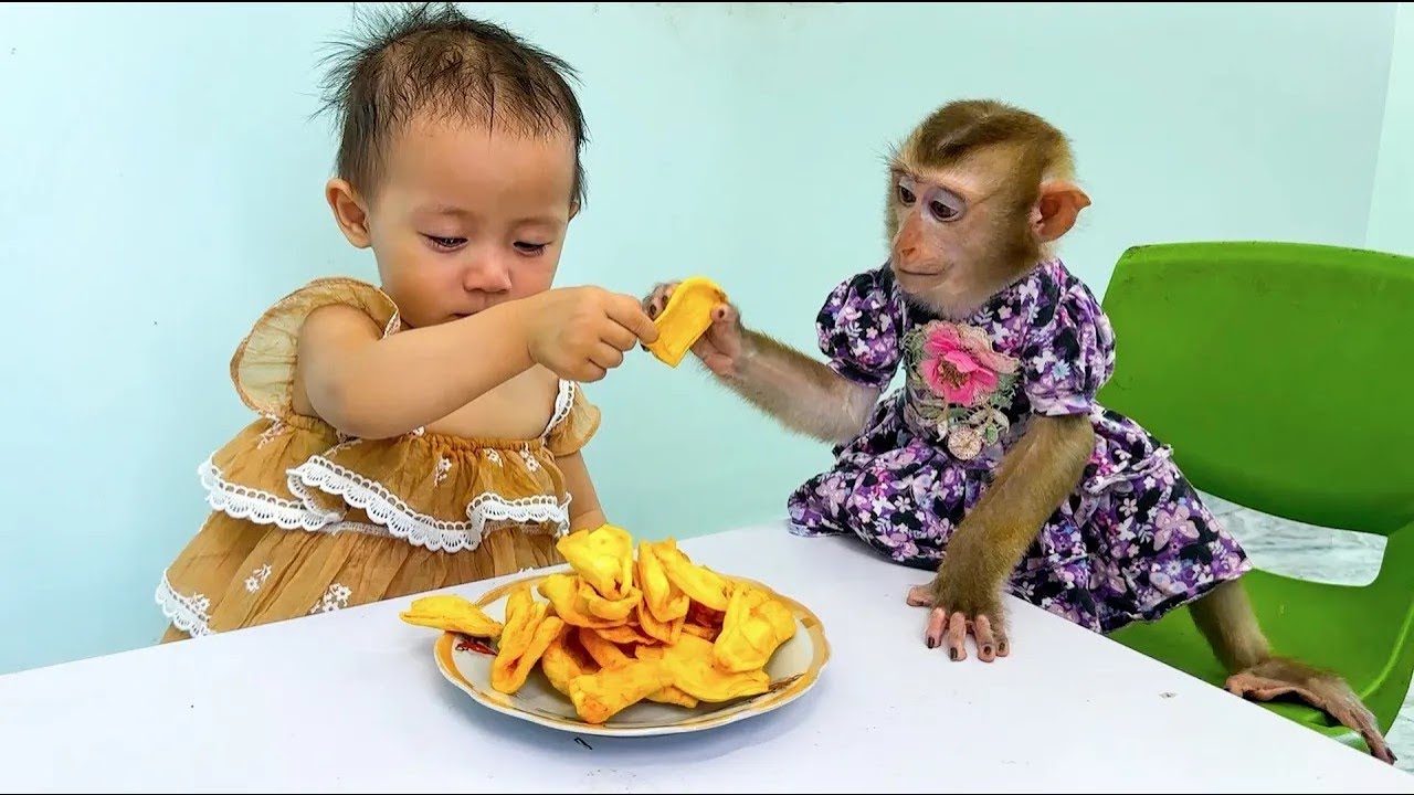 Monkey Kaka and Diem enjoy super delicious fried jackfruit - YouTube