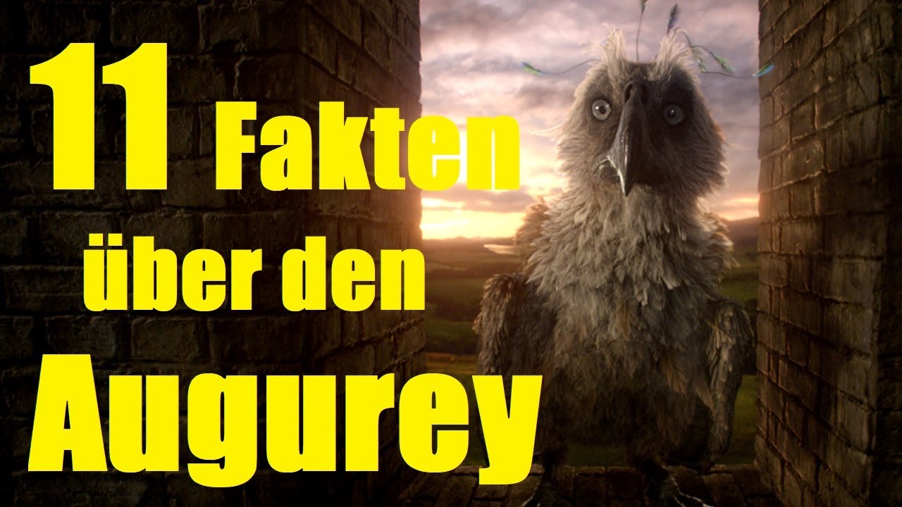 11 FAKTEN über den AUGUREY 🐦 - YouTube