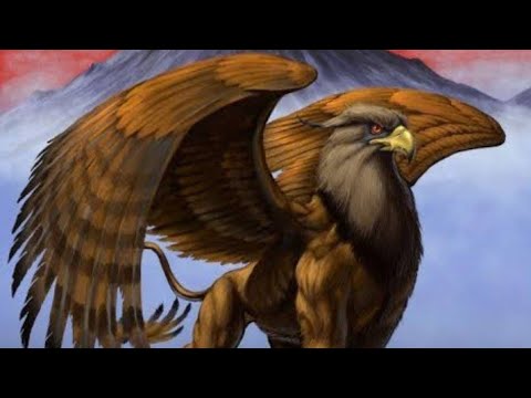 jogando de grifo Roblox feather family🦅🦁 - YouTube