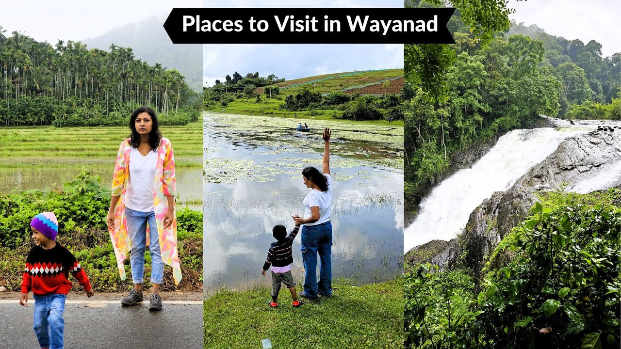 Top 8 Places to Visit in Wayanad | Monsoon Road Trip to Wayanad Kerala ...