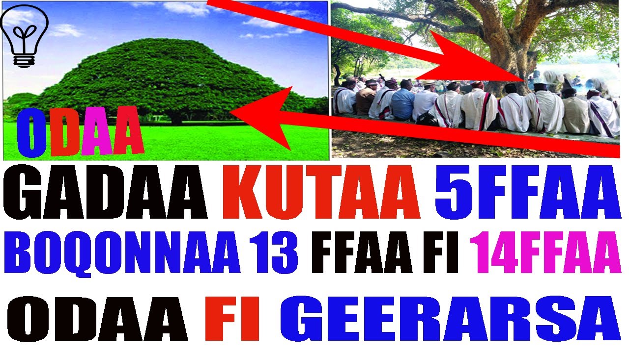 Gadaa Kutaa 5ffaa ODAA FI GEERARSA Boqonnaa 13ffaa fi 14 ffaa - YouTube