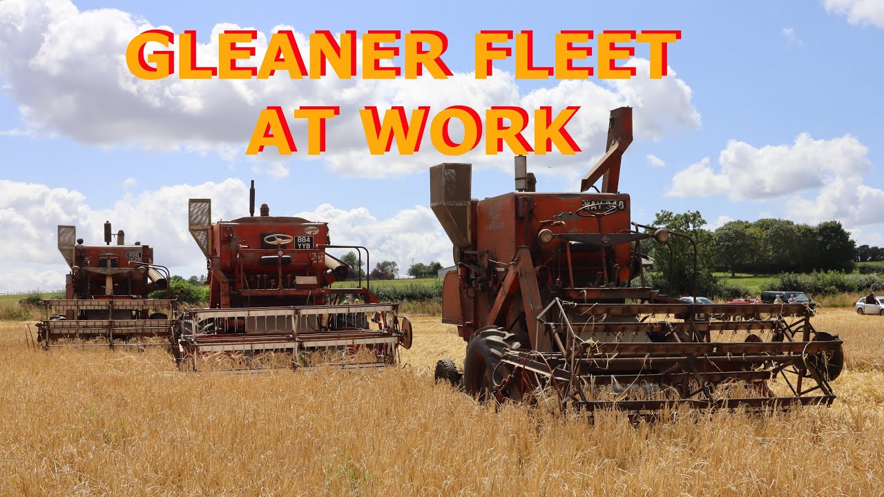 Allis Chalmers Gleaner combines at work. - YouTube