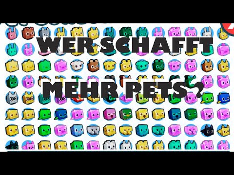 Wer schafft mehr Index Pets ? Pet simulator X / Roblox Live🔴 - YouTube