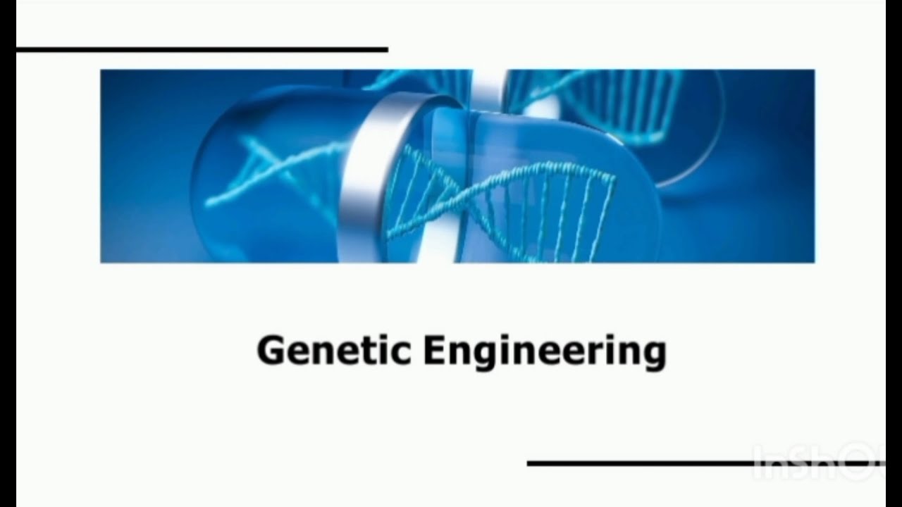 22bel015(E content - Genetic engineering) - YouTube