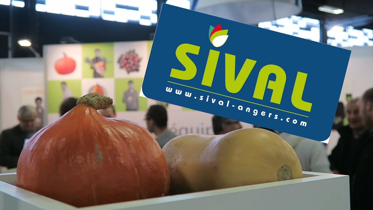 SIVAL 2016 - YouTube